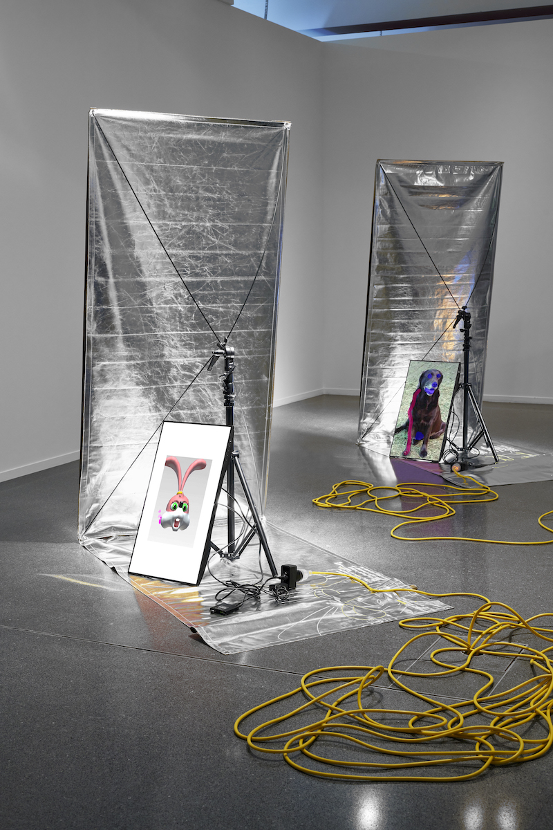 House of Mirrors: Artificial Intelligence as Phantasm - Hartware ...